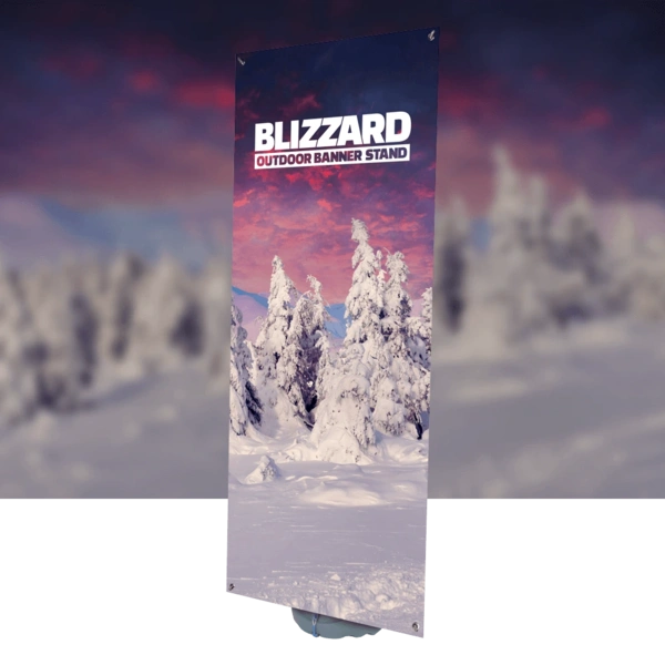 Blizzard | MSM Promotions