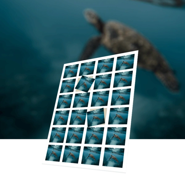 Stickers on a Sheet | MSM Promotions